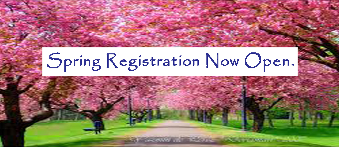 Sabre Hockey Association : Powered by GOALLINE